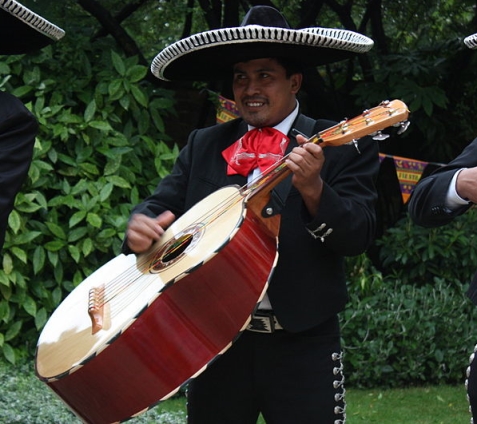 Mexican Guitarron